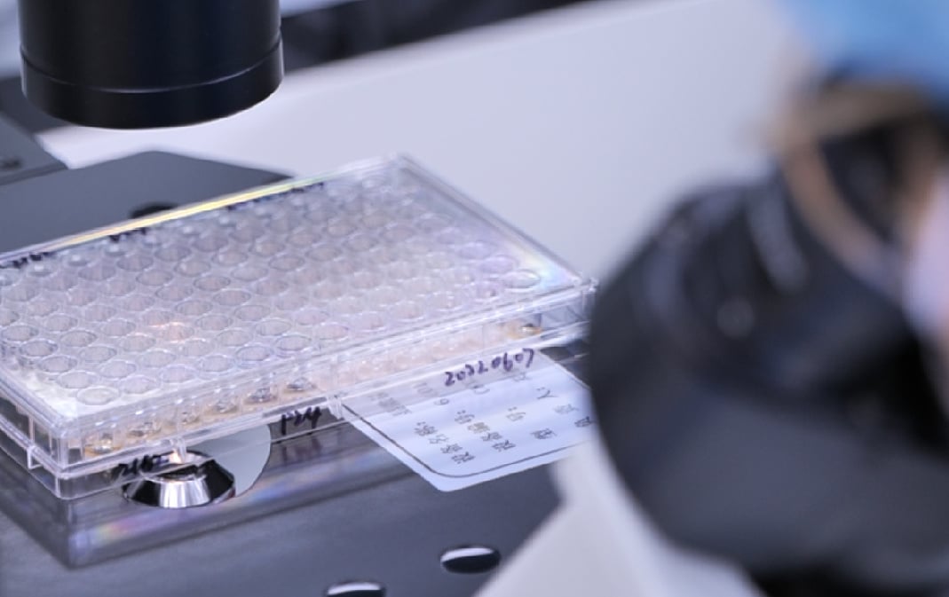 CDMO Services - Cell Banking